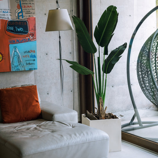 Vadell | Home & Deco | Flores y Plantas Artificiales – Vadell Home